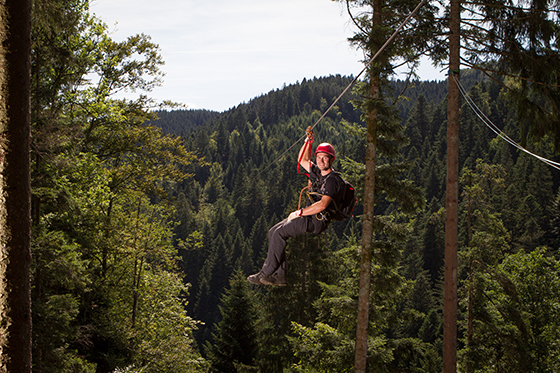 Abenteuertourismus im Schwarzwald: In den Seilen hängen | Netzwerk Südbaden