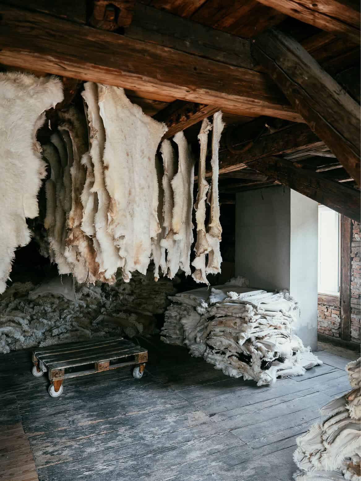 Gerberei Trautwein: Von weichen Fellen und schwarzen Schafen | Netzwerk ...